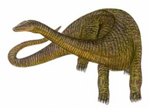 Apatosaurus (Apatosaure) : article sur ce dinosaure