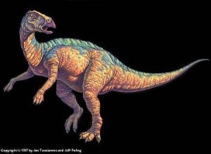 Tenontosaurus : article sur ce dinosaure